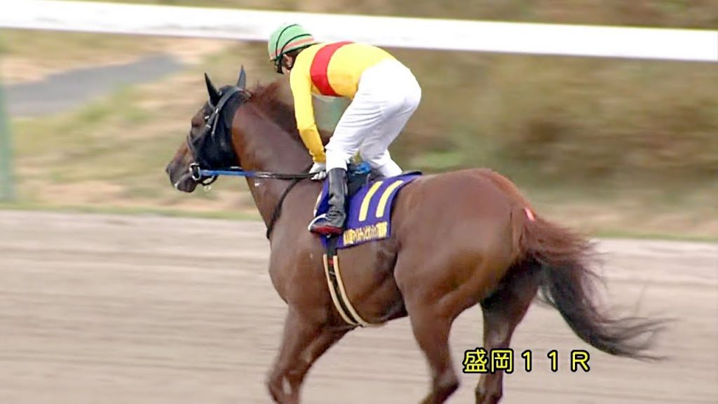 コパノリッキーG1＆Jpn1を10勝wwwww | ケイバペディア