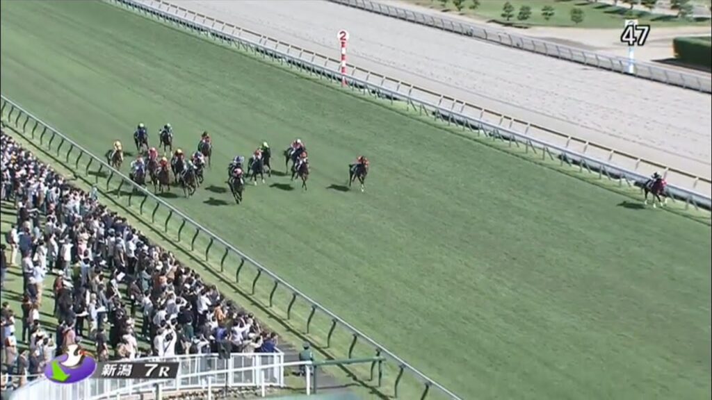 【JRA】夏開催の暑さ対策を発表 7Rをメインとし15時45分発走 最終12Rは18時25分発走 問題点も浮上 | ケイバペディア