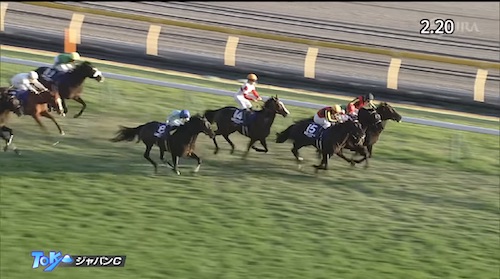 いい加減競馬でも馬の鼻先のICチップと、VAR判定導入しろよ | ケイバペディア